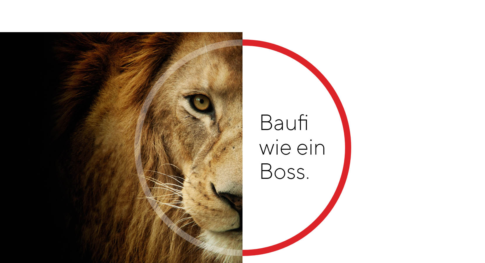 Leistungen bei Prohyp | Know-how und perfekter Service